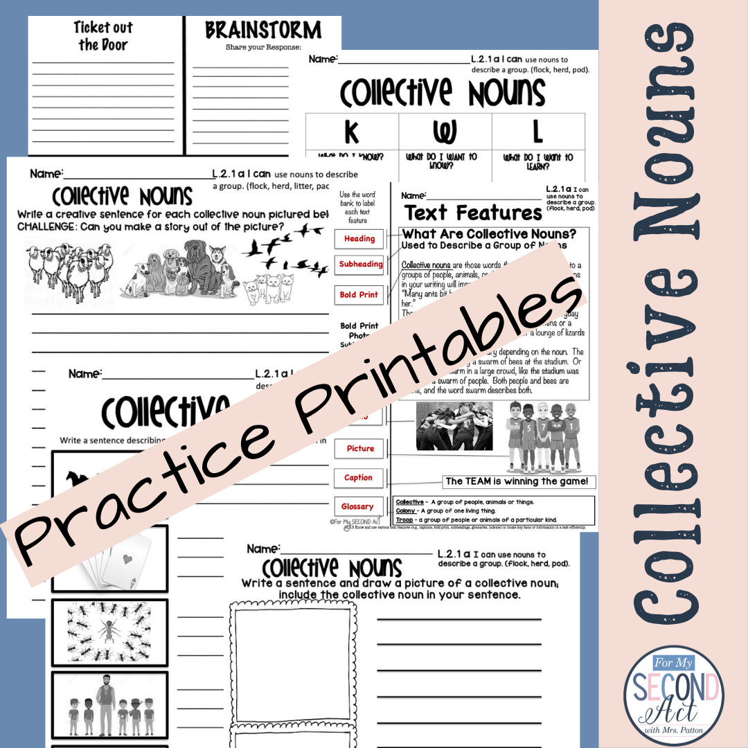 So What Are Collective Noun Examples? - For My Second Act