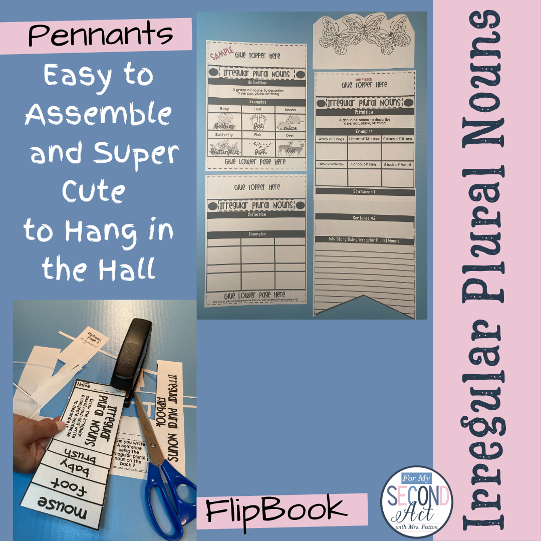 Irregular Plural Nouns Lesson Plans - For My Second Act