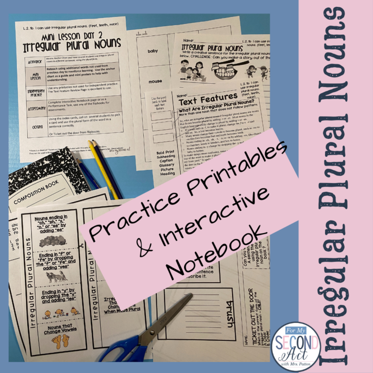 Irregular Plural Nouns Lesson Plans - For My Second Act
