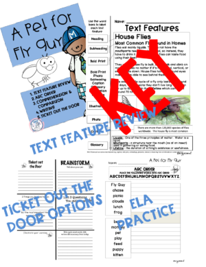 FLY GUY PRINTABLE ACTIVITIES - For My Second Act