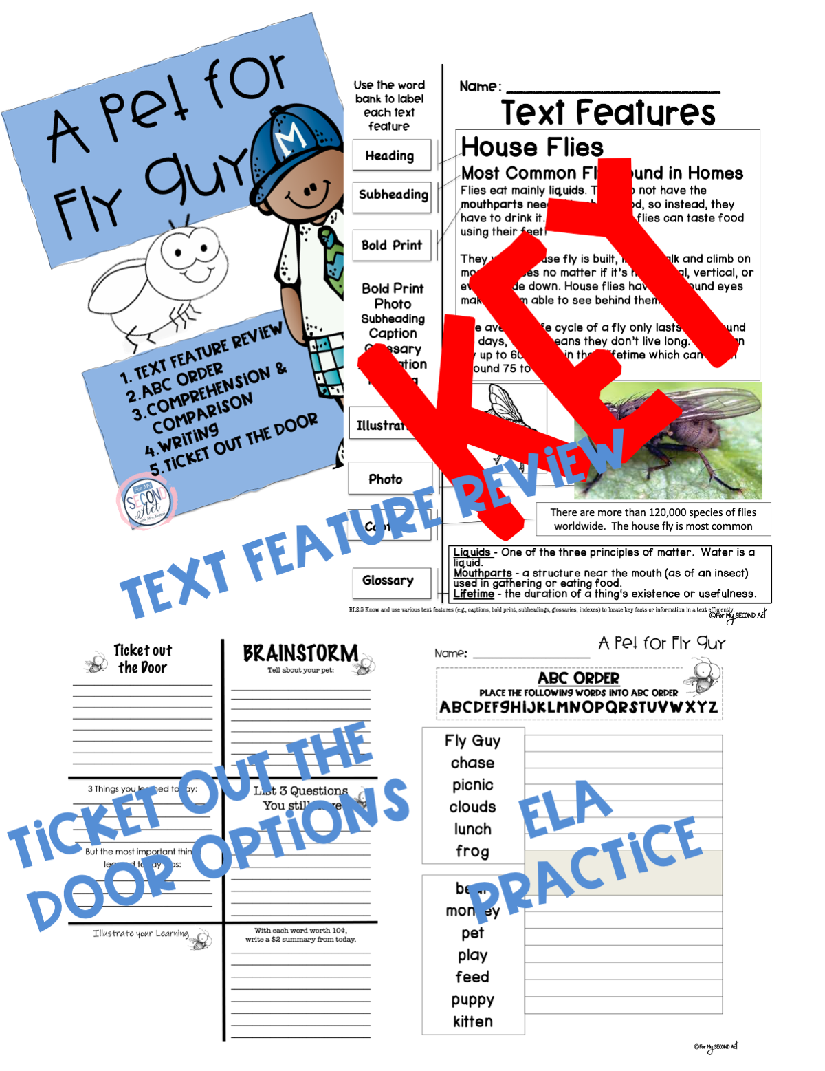 FLY GUY PRINTABLE ACTIVITIES - For My Second Act