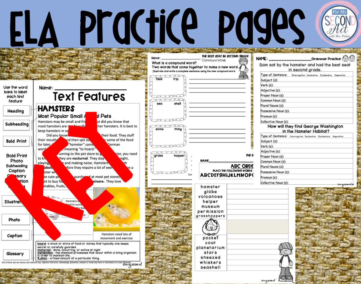 The Best Seat in Second Grade - For My Second Act