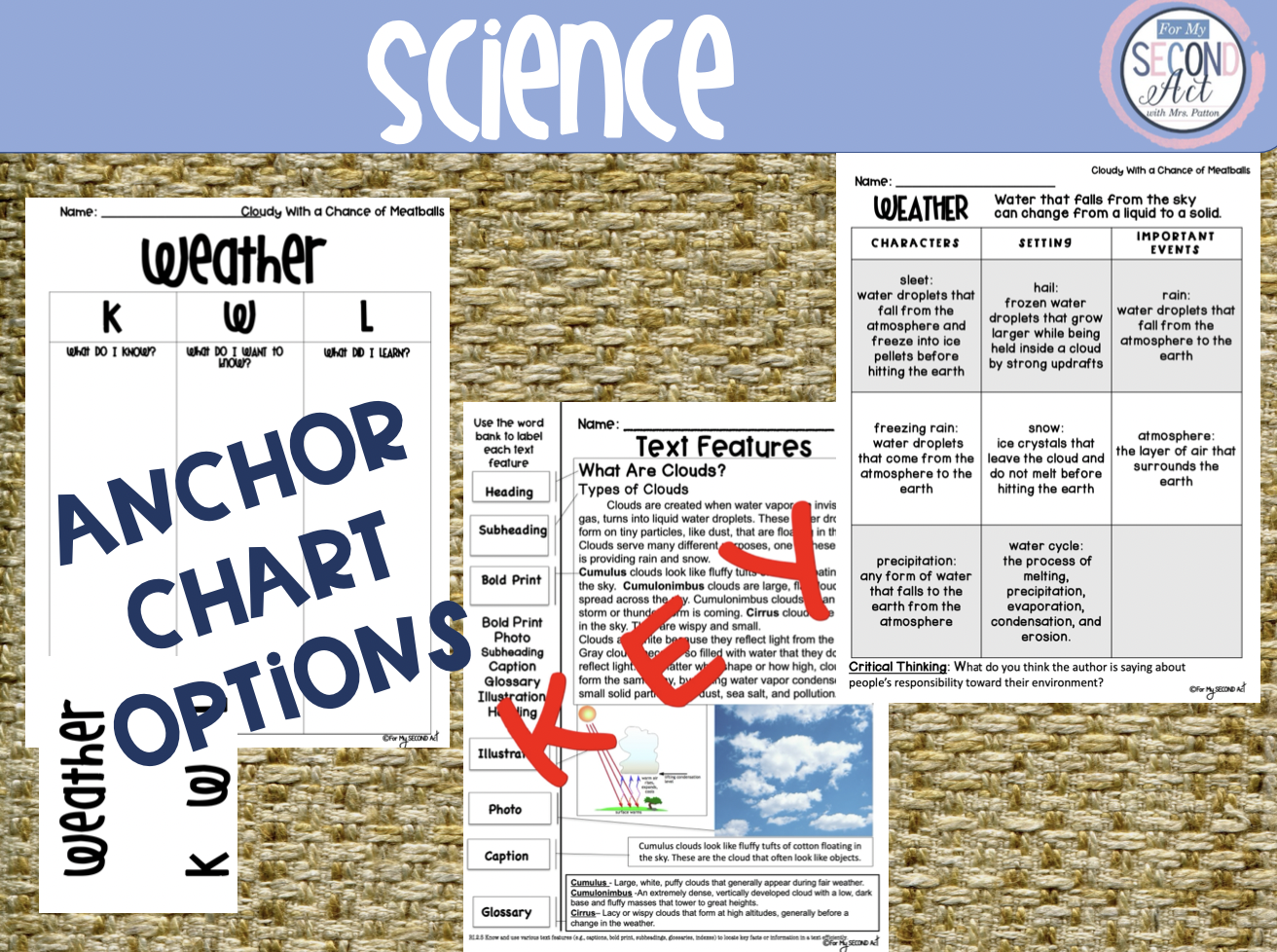 Cloudy With A Chance of Meatballs Activities - For My Second Act