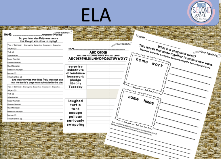 Dear Substitute Activities - For My Second Act